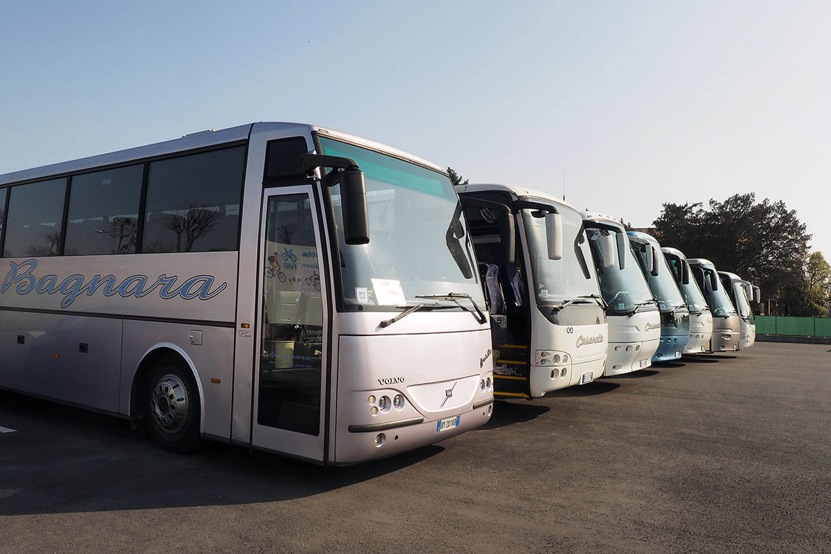 Bus Economy | ABC Tours